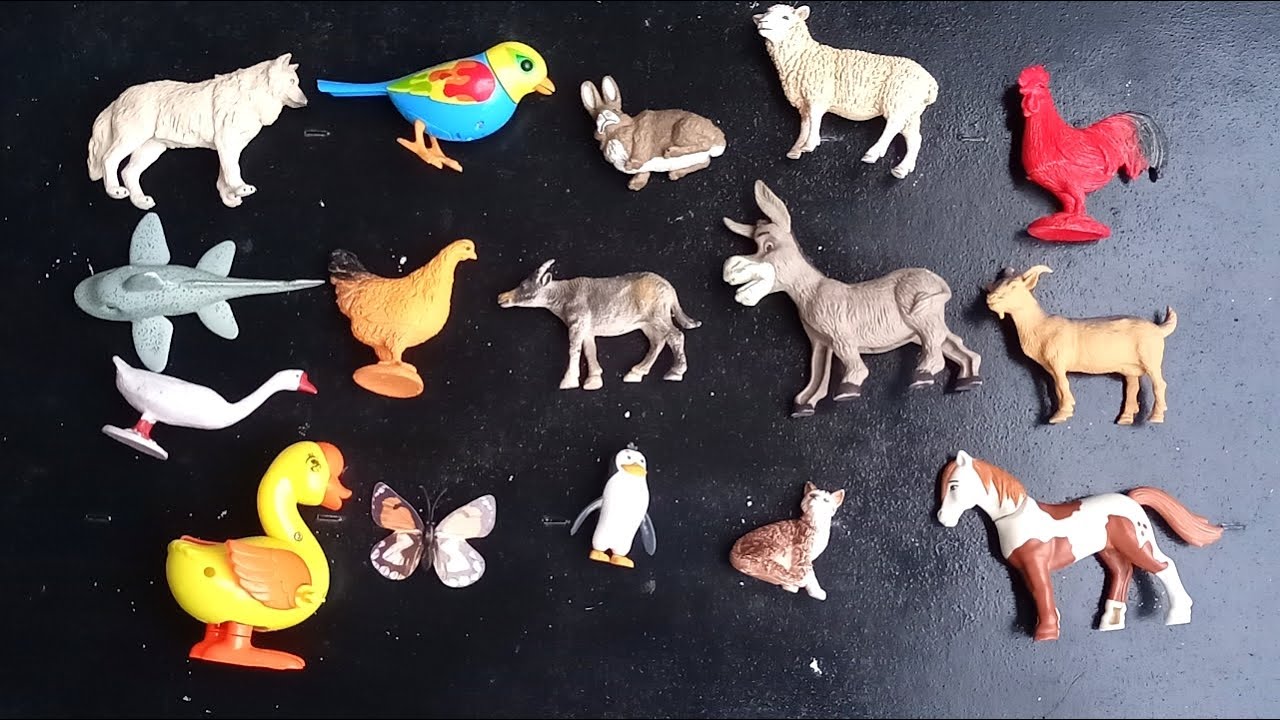 KIDS Go On AMAZING Animal Adventures Every Day! - YouTube