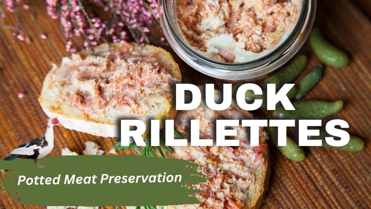 How to make RILLETTES! My Favorite Potted Meat - YouTube