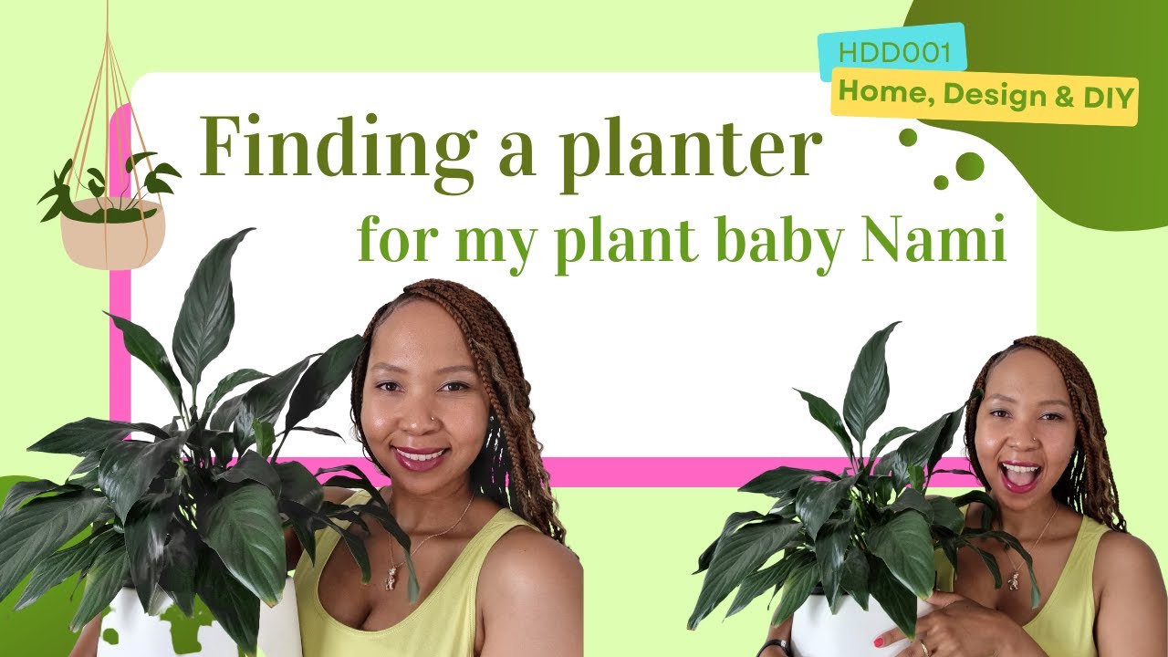 HDD001 Home Decor & DIY: Finding a planter for my plant baby Nami ...