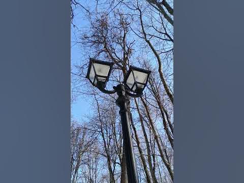 Фонарики на фоне неба и веток деревьев - YouTube