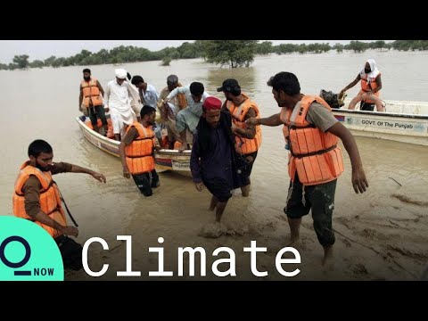 Pakistan Flooding Deaths Pass 1,000 in 'Climate Catastrophe'