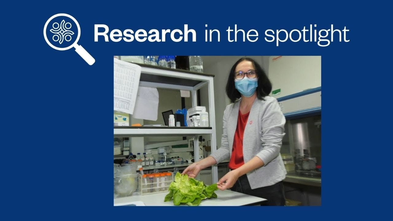 Episode 2_Research in the Spotlight - YouTube