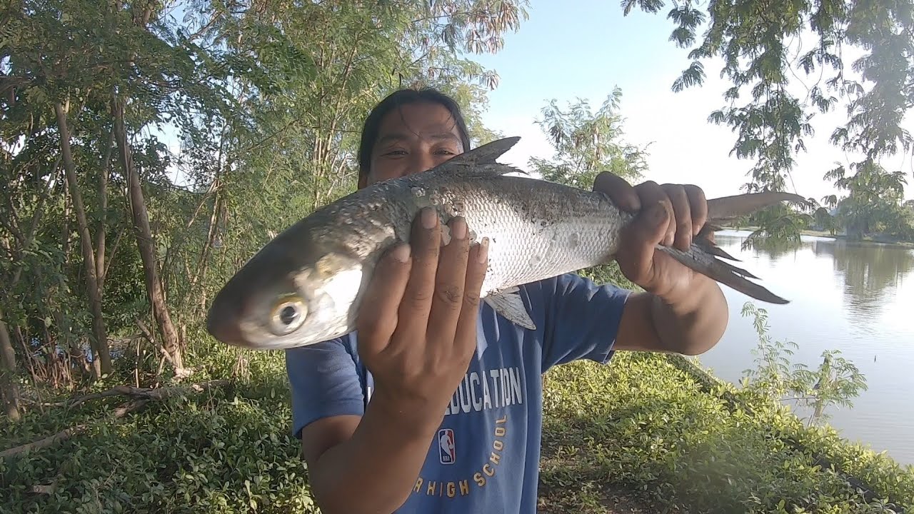 Fishing trip at School of fish Bulacan - YouTube