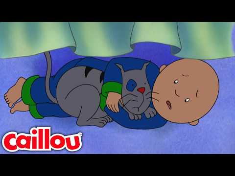 Eén, twee, BOEM! 💥| Caillou Nederlands | Leren voor kinderen