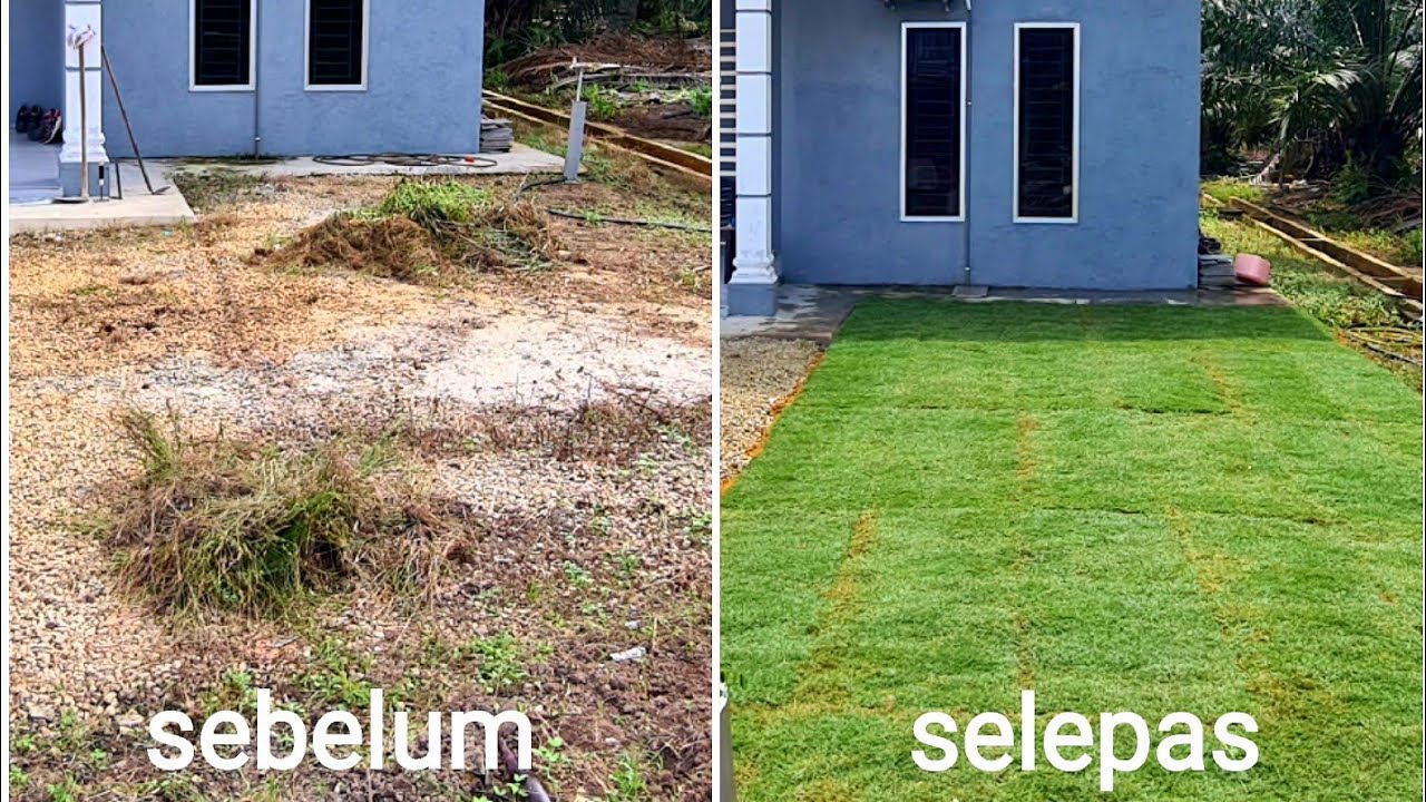 Projek Landscape ,cara mudah tanam rumput karpet ( bukan palsu ) - YouTube