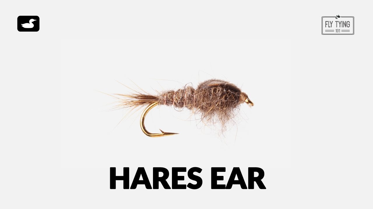 Fly Tying Tutorial: Hare's Ear - YouTube