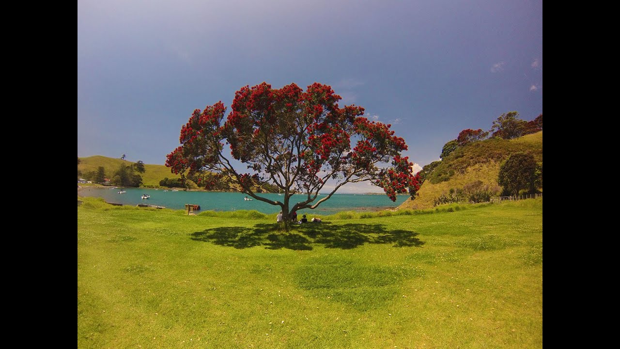 Exploring Motutapu Island - YouTube