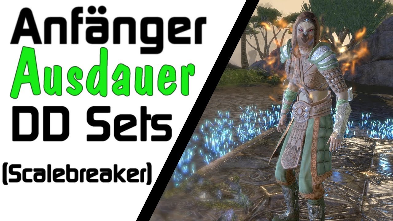 Besten Ausdauer DD Sets für Anfänger (SCALEBREAKER) - YouTube