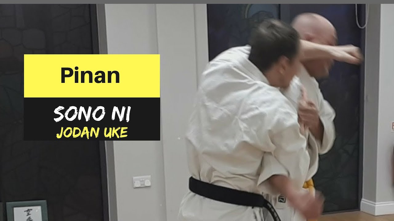 Pinan Sono Ni/ Heian Nidan/Pinan Shodan - Jodan uke - YouTube