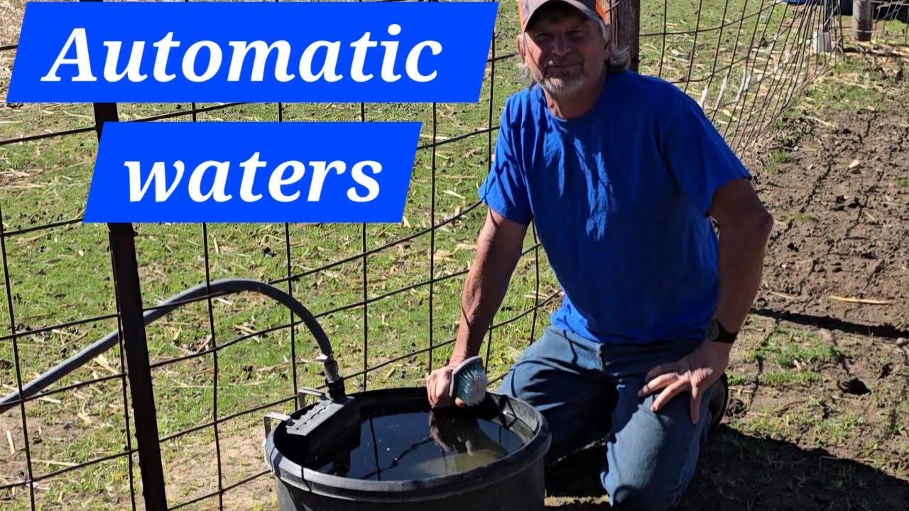 Automatic water setup for sheep - YouTube