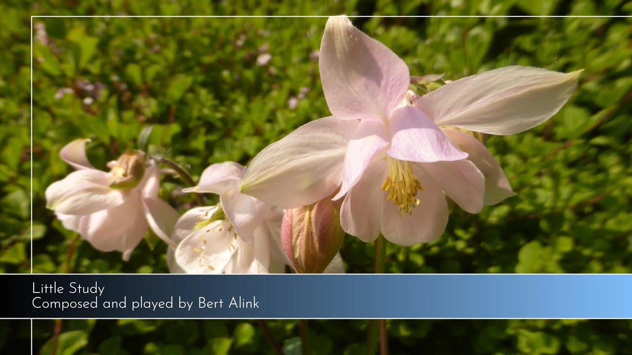 Little Study - Bert Alink (classical guitar) - YouTube