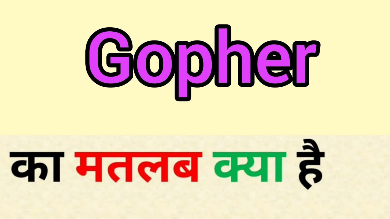 Gopher meaning in hindi || gopher ka matlab kya hota hai || word ...