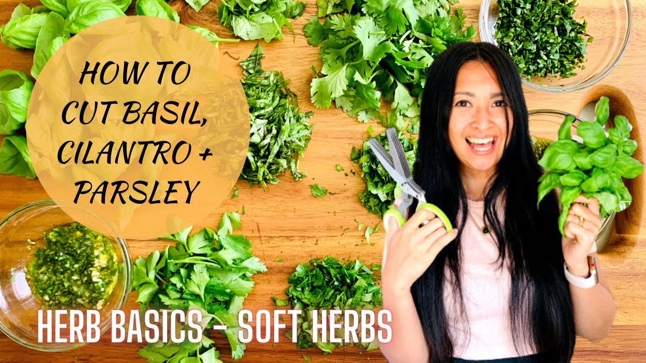 Herb Basics: How to Cut Soft Herbs | How to Chop Basil, Cilantro ...