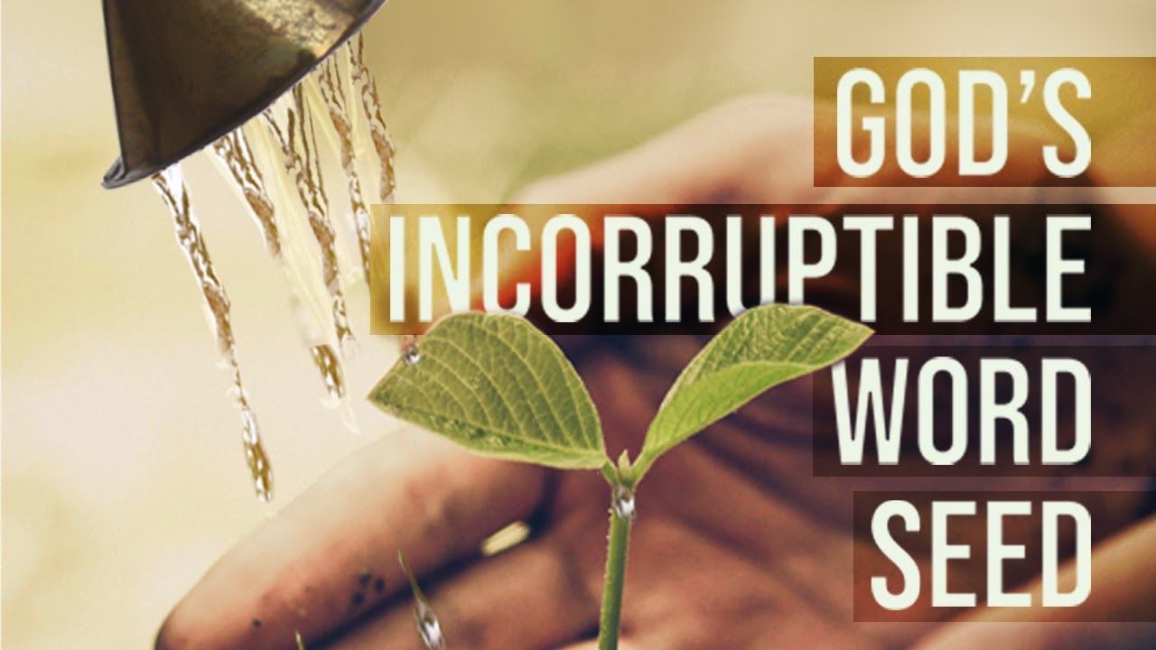 Pt. 5 - Receiving The Seed - Pt. 2 (God's Incorruptible Word Seed ...