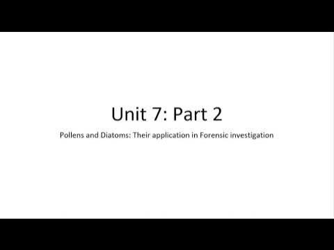 Unit 7 Part 2 - YouTube