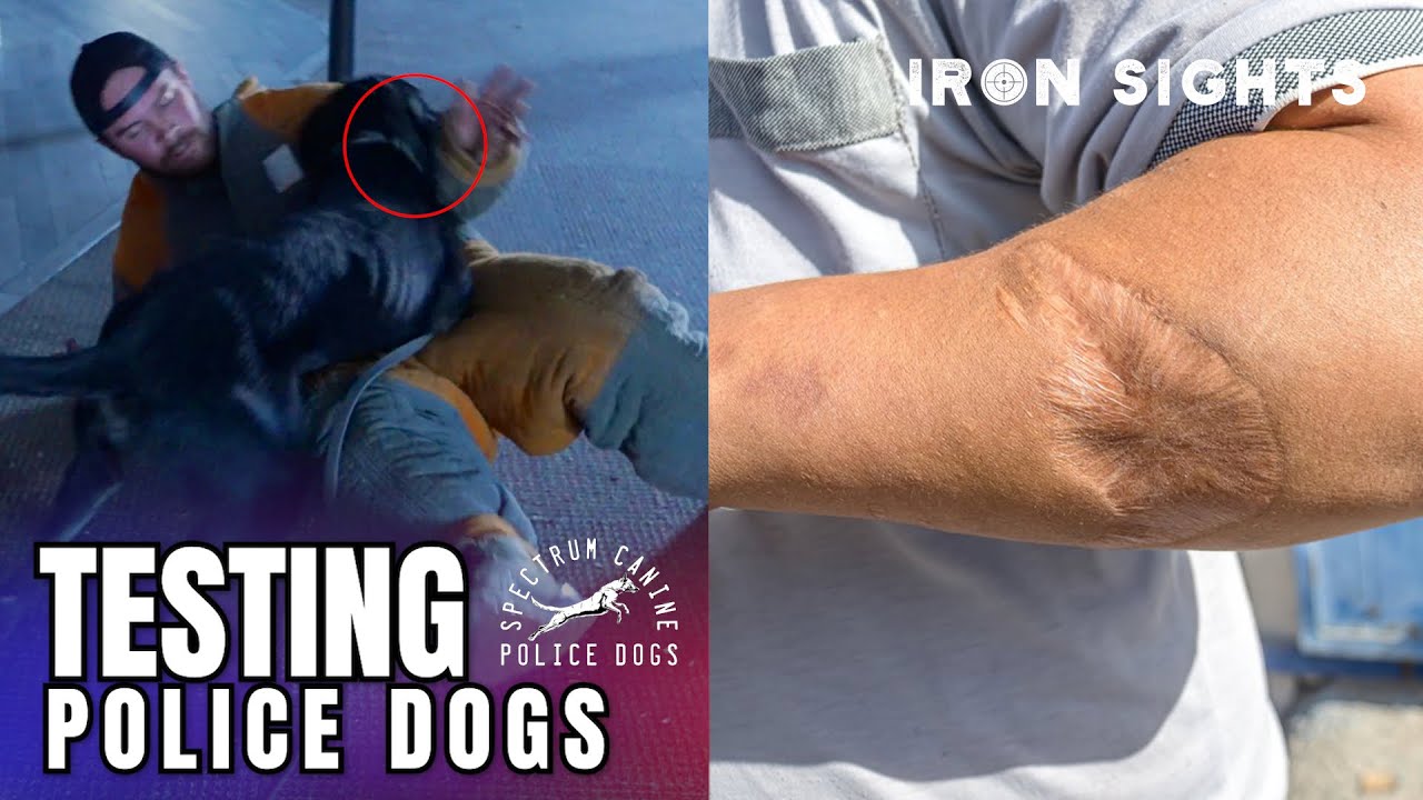 Transforming Qualified Dogs Intro Extraordinary K9 Units: Spectrum ...