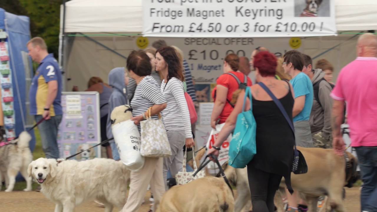 All About Dogs Show 2017 - YouTube