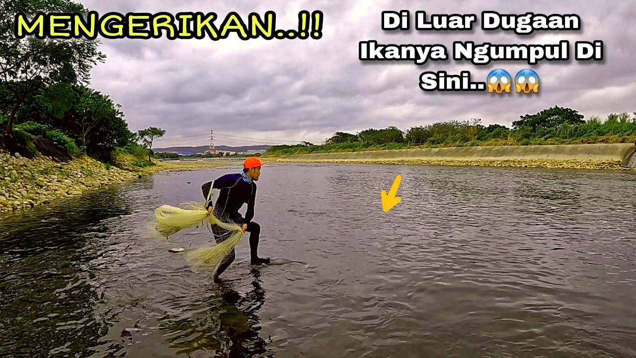 MENGERIKAN‼️JALA IKAN DI SUNGAI DANGKAL BEBATUAN HASILNYA DI LUAR DUGAAN😱 - YouTube