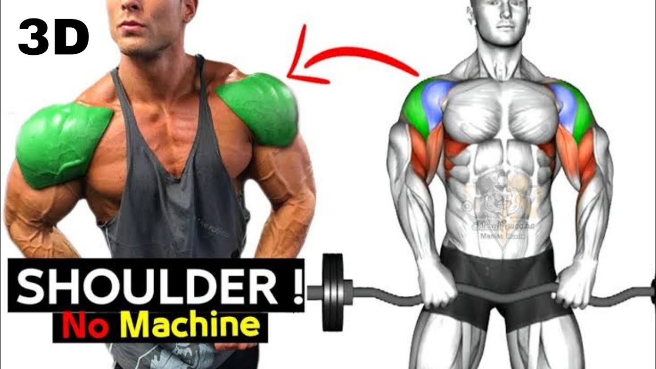 5 Best Exercise Build Wider & 3D Shoulder | - YouTube