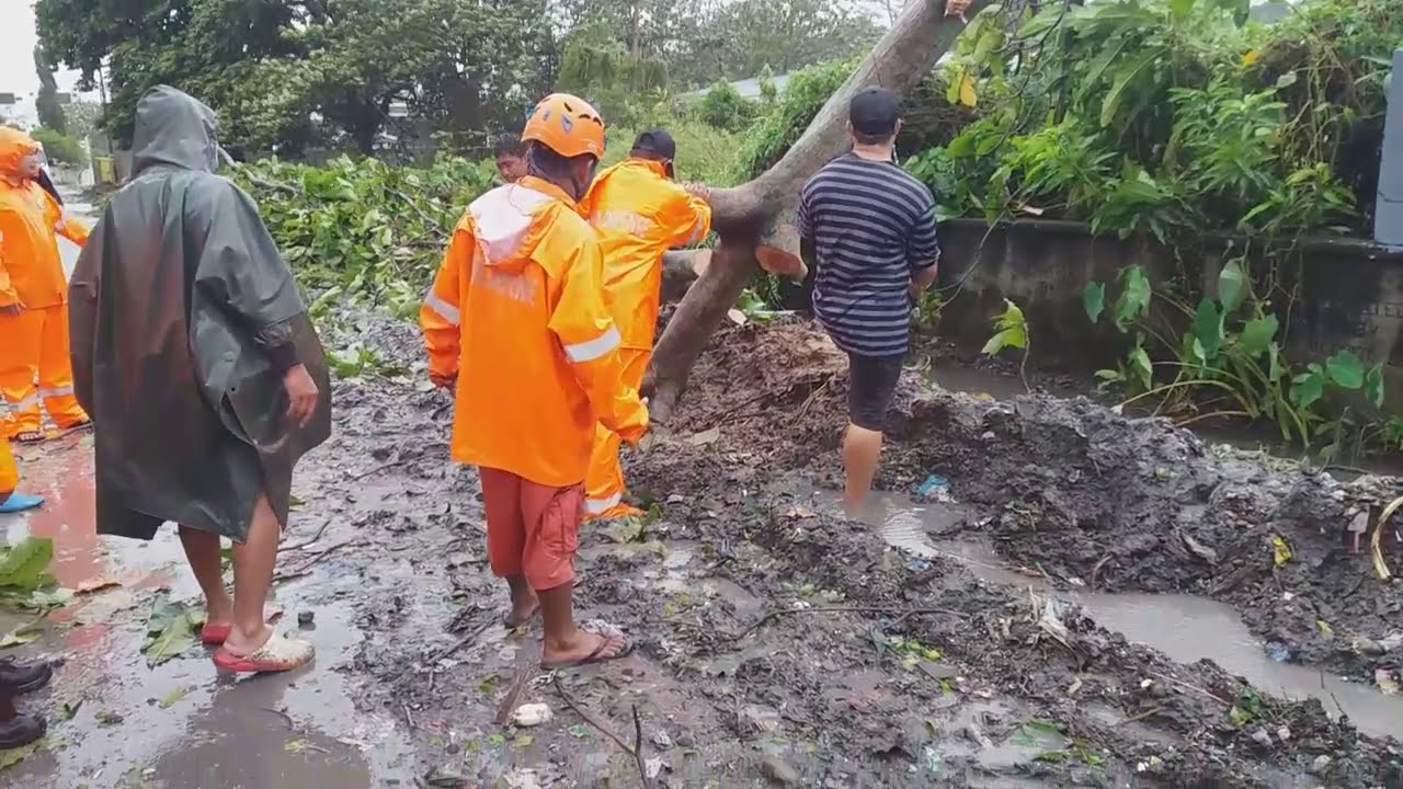Bagyong Quinta Typhoon Quinta Clearing Operation - YouTube