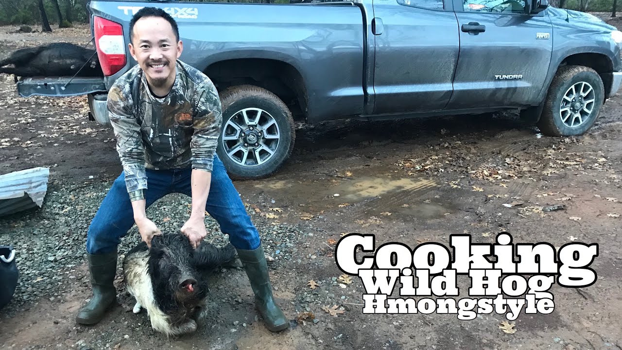 Cooking Wild Hog’s leg and head Hmongstyle (in a pressure cooker) - YouTube