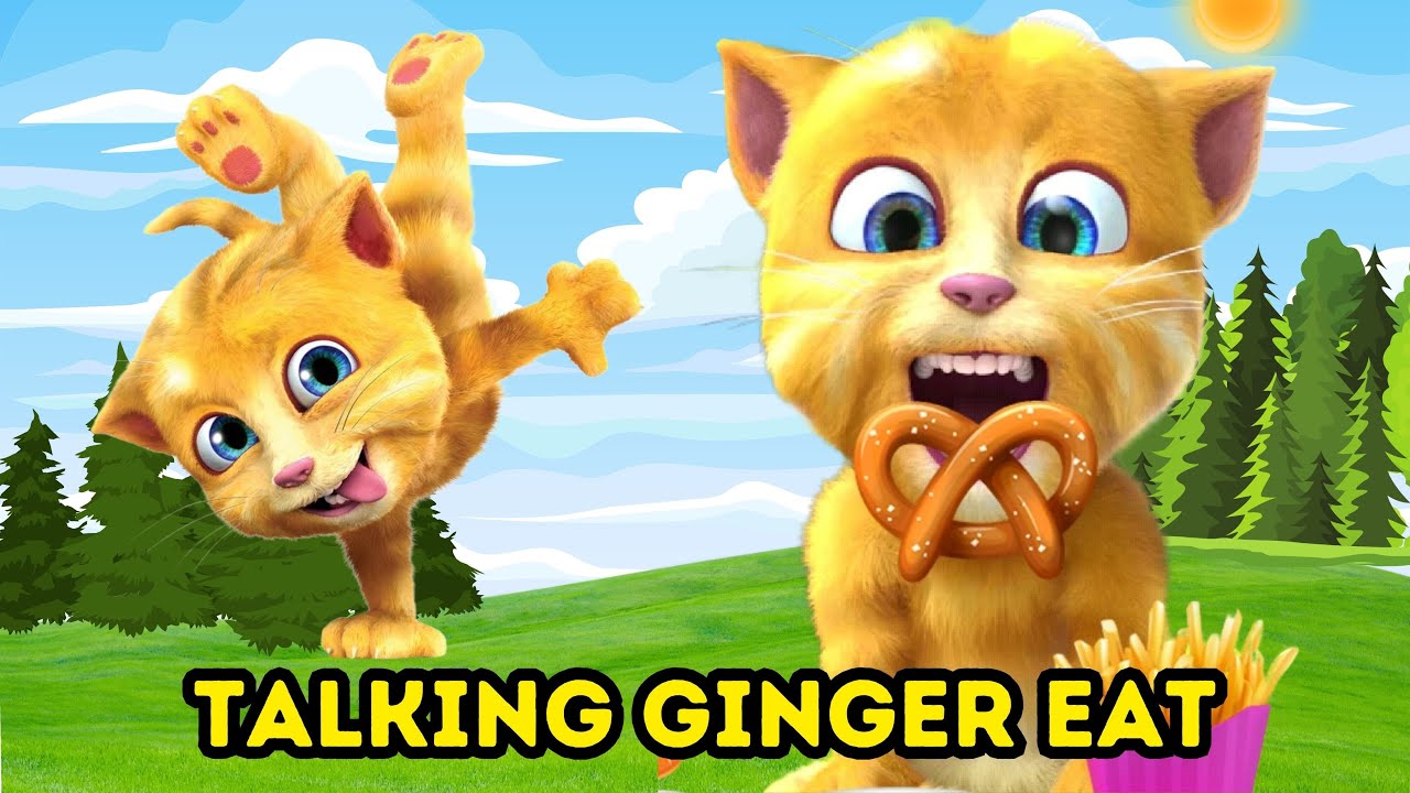 Talking Ginger Cat #short #talkingginger #myginger #ginger - YouTube