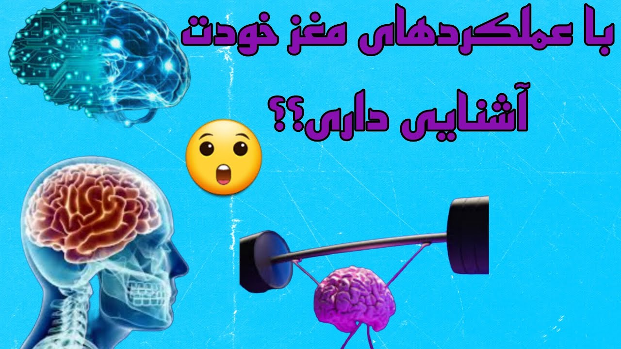 شگفتی های مغز انسانواقعیت های جالب از مغز انسان Youtube