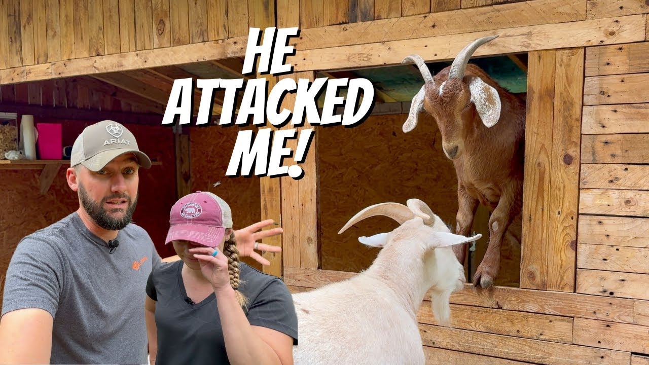 I had to FLIP HIM OVER and PIN HIM DOWN! - YouTube