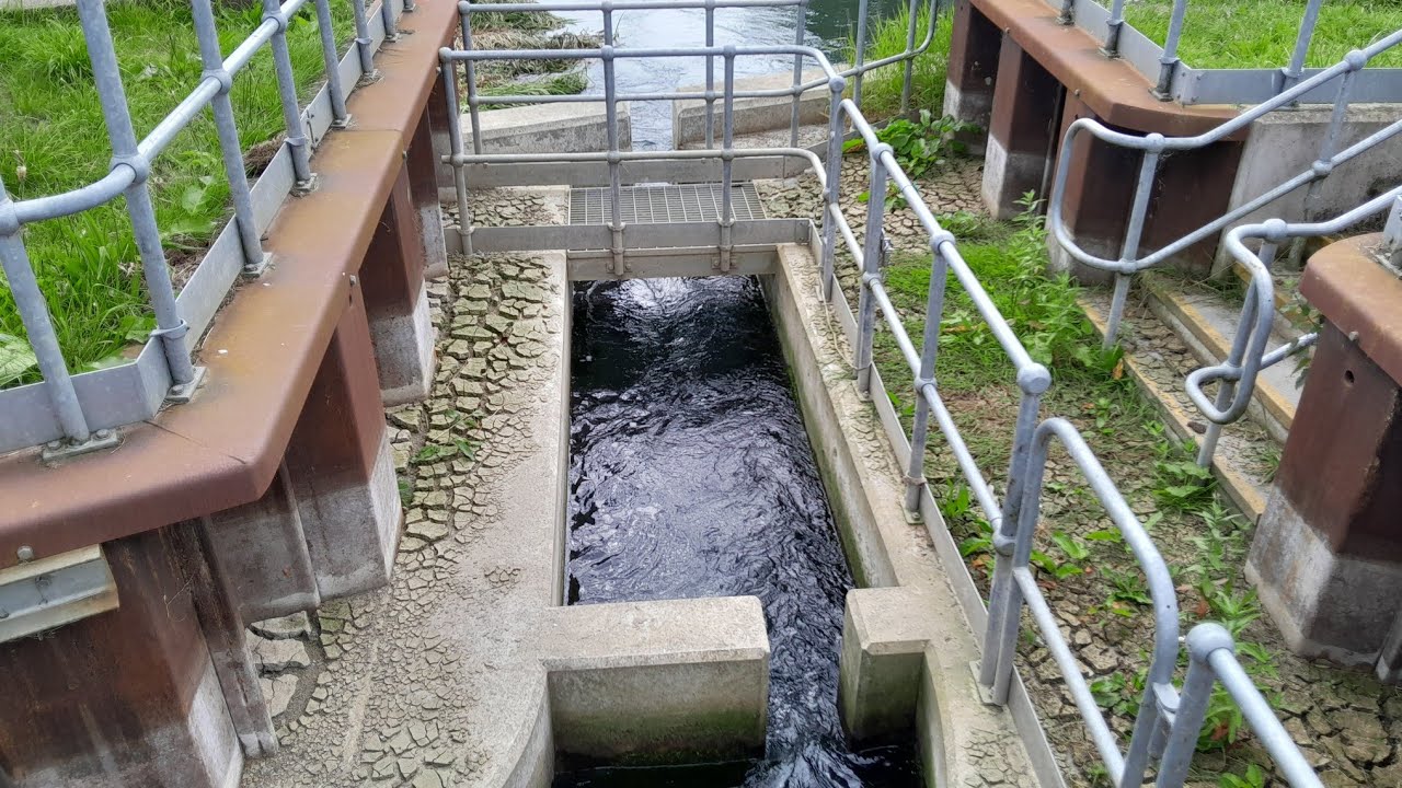 Struncheon Lock Fish Pass River Hull - YouTube
