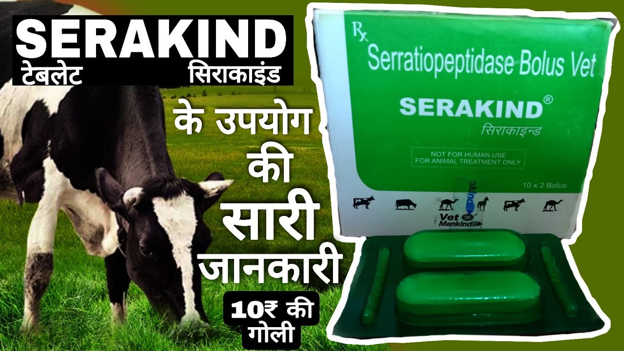 Vet-Bolus (serakind) serakind plus uses in animals in hindi ...