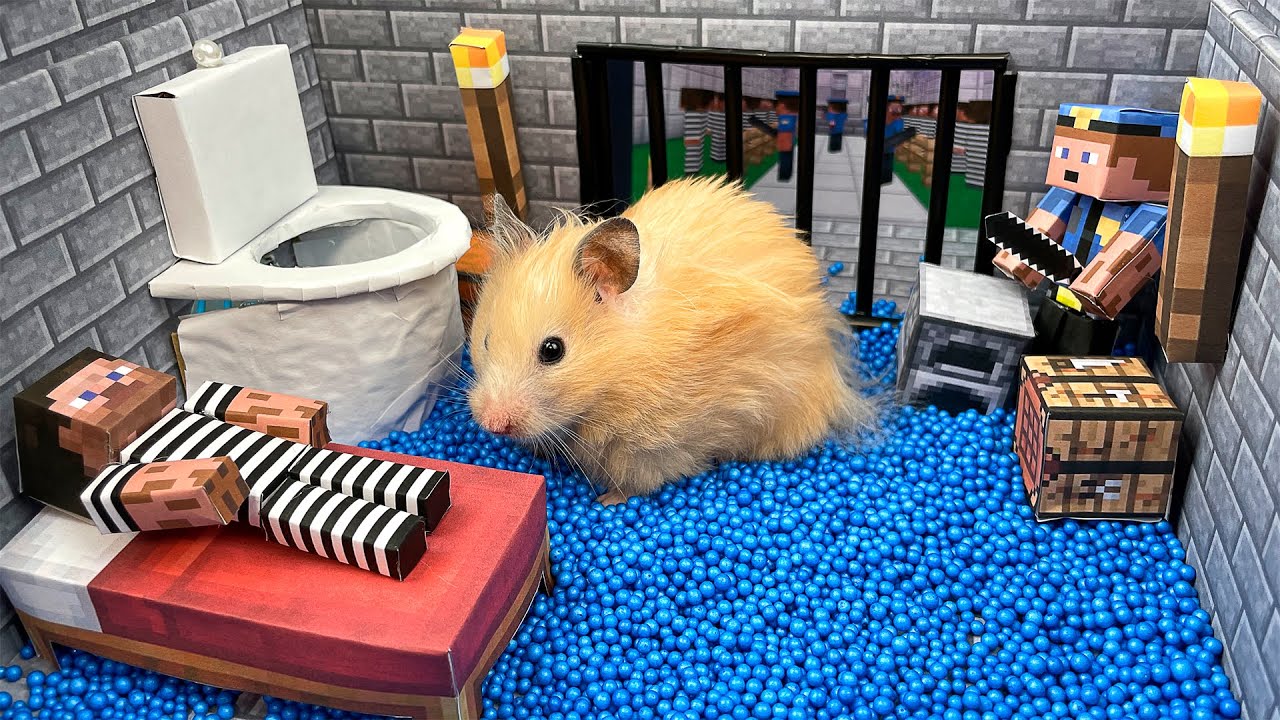 🐹 Hamster escapes the Minecraft jail Maze! 😲 Real life Police traps for ...