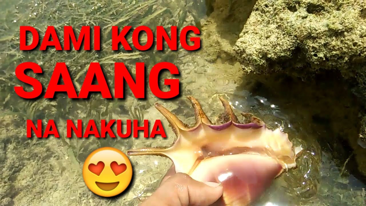 CATCHING SAANG vlog2 - YouTube