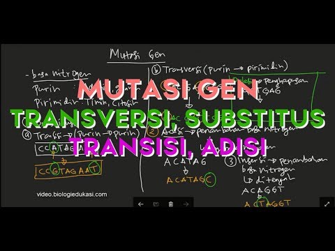 Mutasi Gen Transisi, Transversi, Adisi, Delesi - YouTube