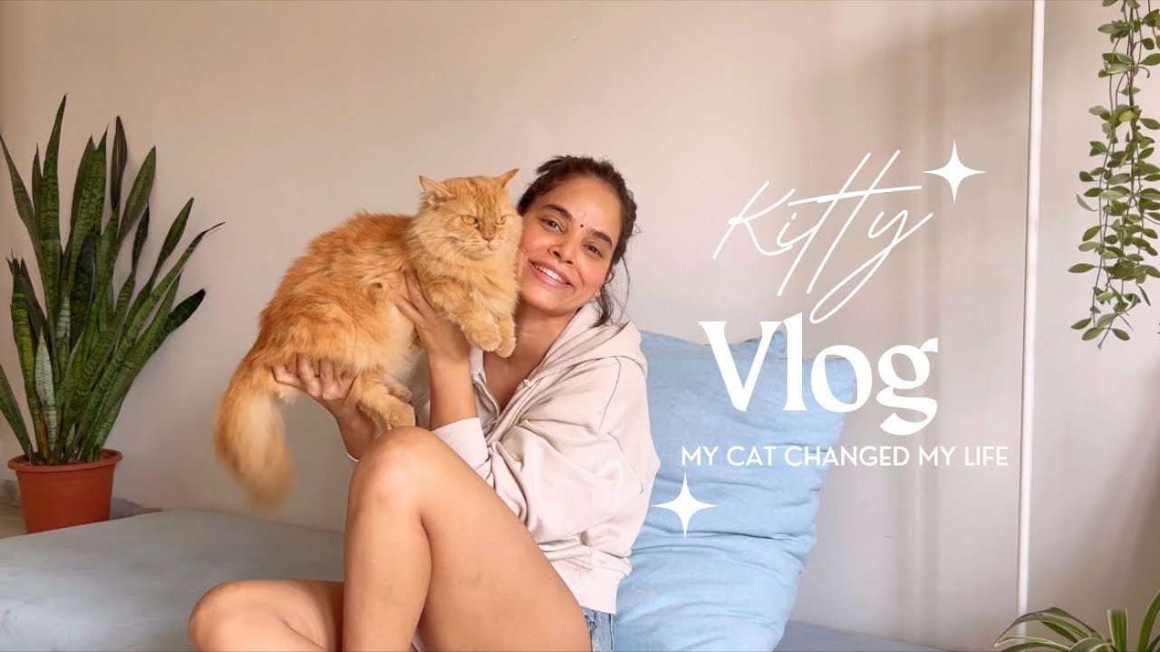 My Cat Changed my Life | A survivor | Kitty Vlog | Adoption Story| Spiritual Persian Cat, Cat ...