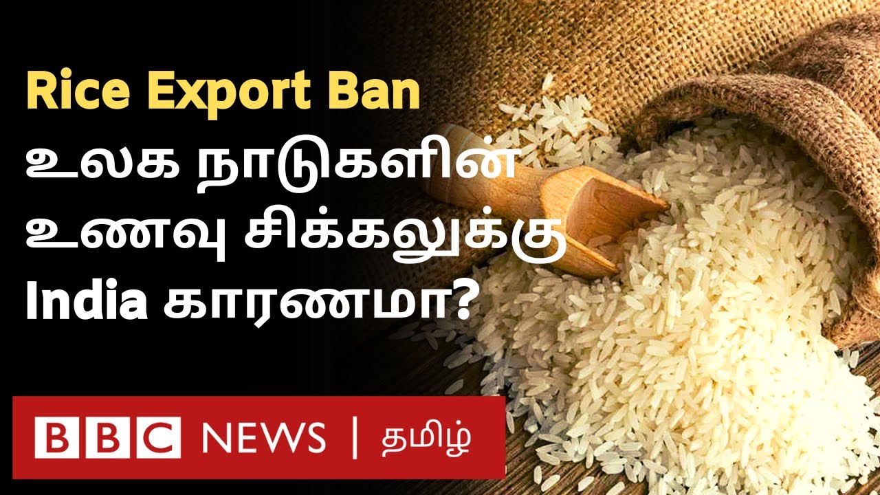 Rice Crisis: இந்தியாவின் செயலால் அரிசிக்கு வழியின்றி திணறுகிறதா உலக ...