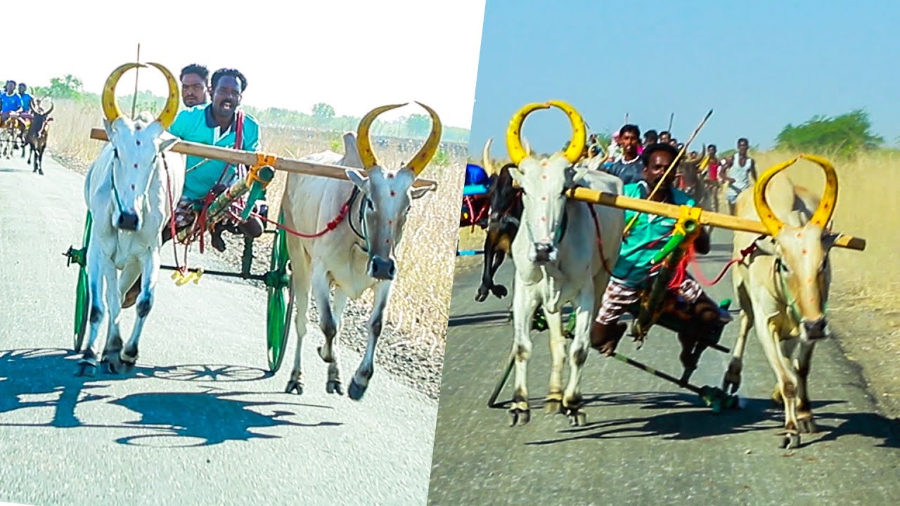 K.Subayapuram chinna mattu vandi race part-2 (29-06-2019) Jawahar ...