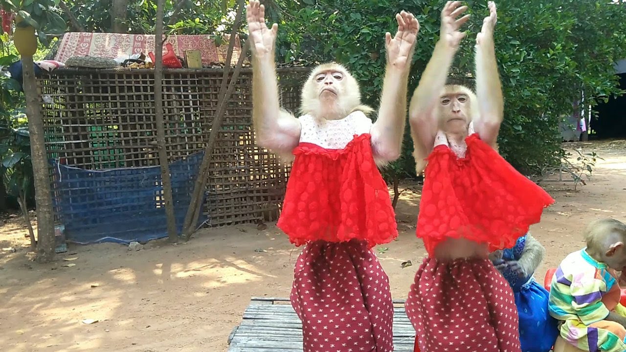 Lovely YaYar Dancing Shows So Beautiful In Beautiful Dress - YouTube