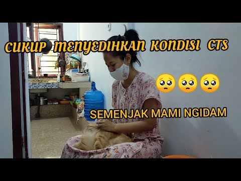 MAMI OWIE & CTS COME BACK | MAMI NYABLAK LAGI !!!!