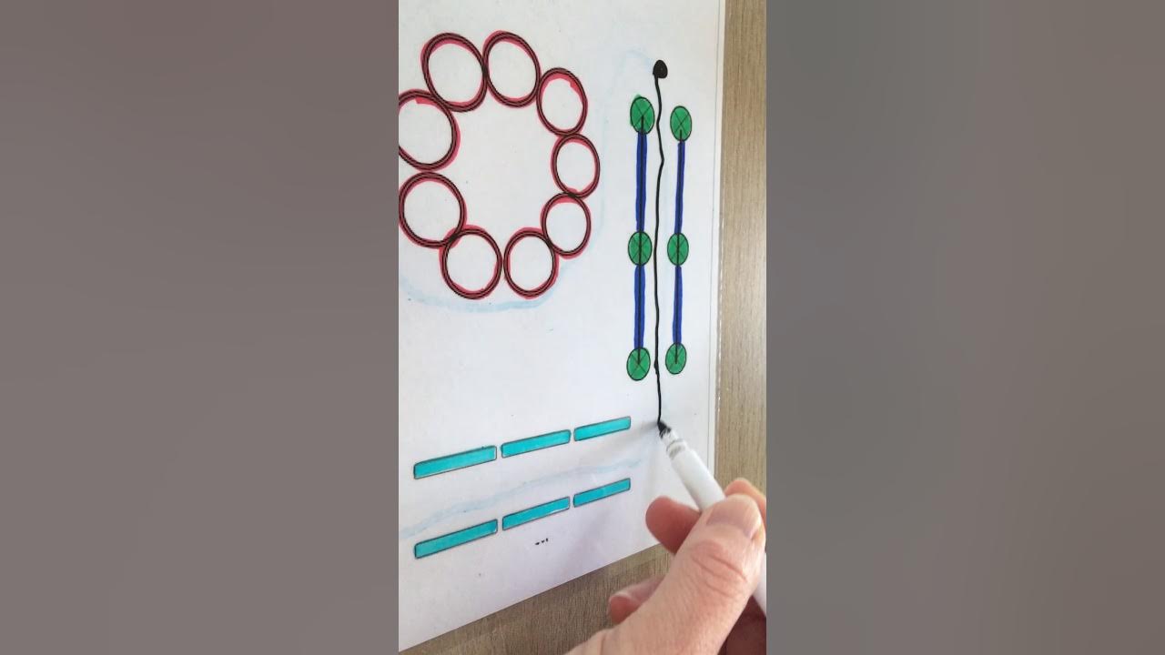 coder, décoder un parcours 2 - YouTube