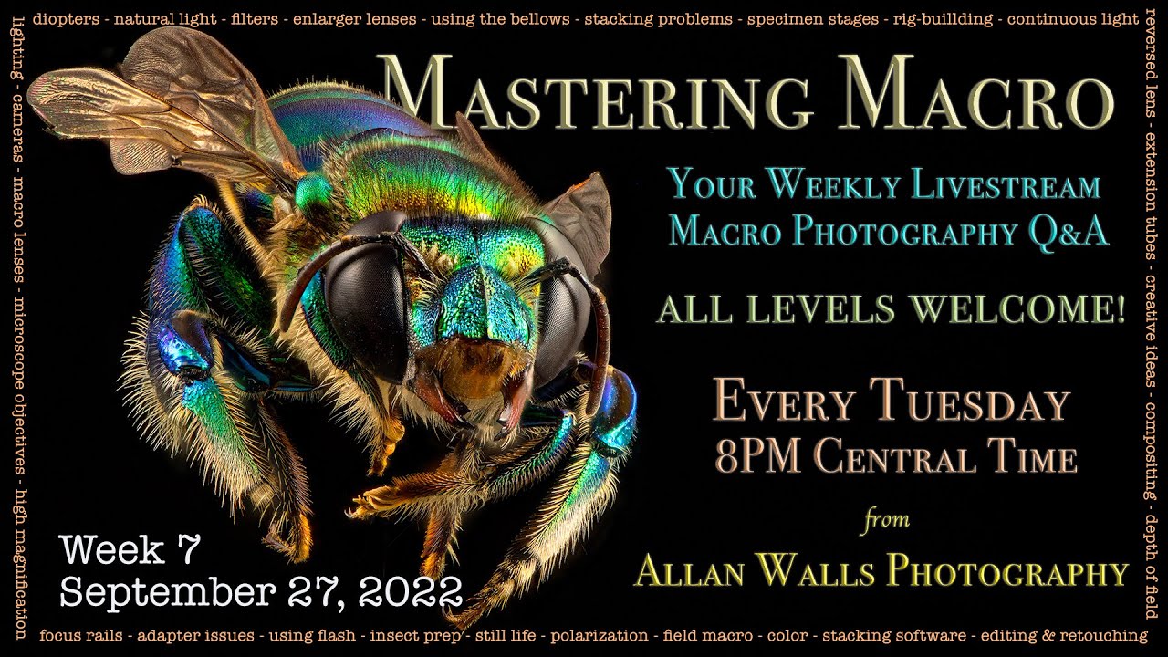 Mastering Macro Photography - Week 7 - 9/27/22 - YouTube