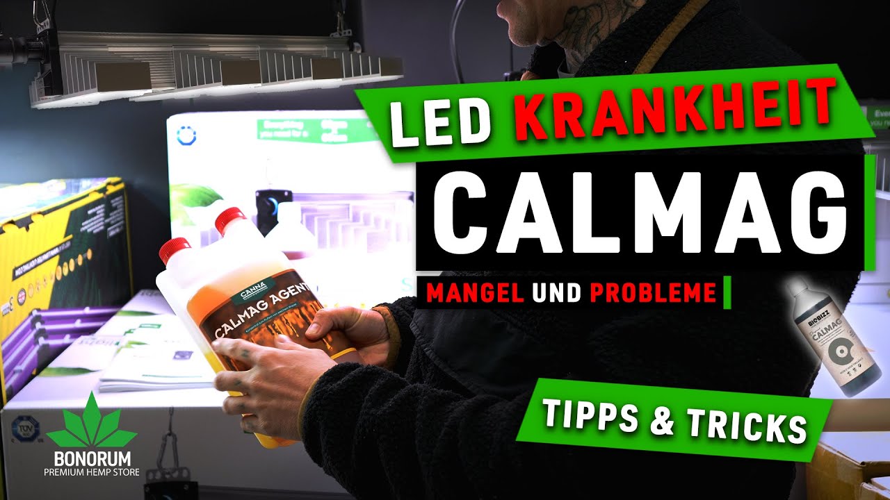 LED Krankheit und CalMag Mangel: So löst du das Problem – Freds Tipps ...