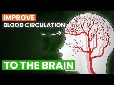 Zeaxanthin and Lutein Save the Eyes and Improve Brain Circulation - YouTube