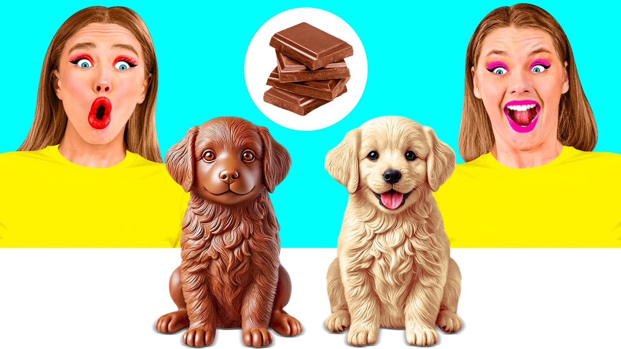 Real Food vs Chocolate Food Challenge | Amazing Kitchen Recipes by ...