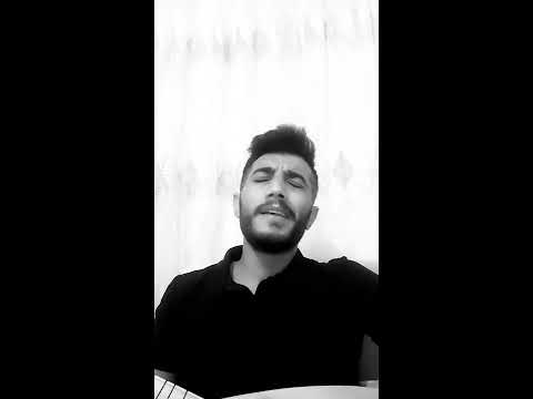 Regav Roni Rasti Bıbine