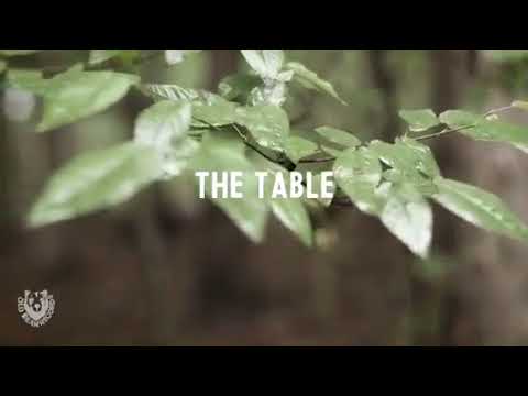 Ian Zumback - The Table ( promotional video ) - YouTube