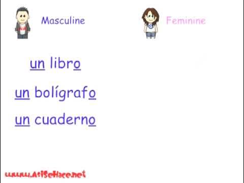 Nouns, Gender and Definite Indefinite Articles in Spanish - YouTube