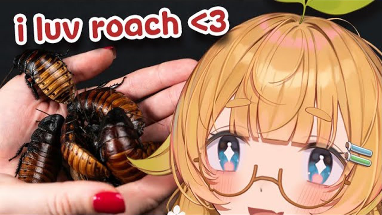 cute snail vtuber shows you her roaches - YouTube
