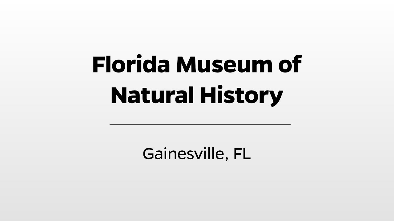 Florida Museum of Natural History - WUFT's Greater Good - YouTube