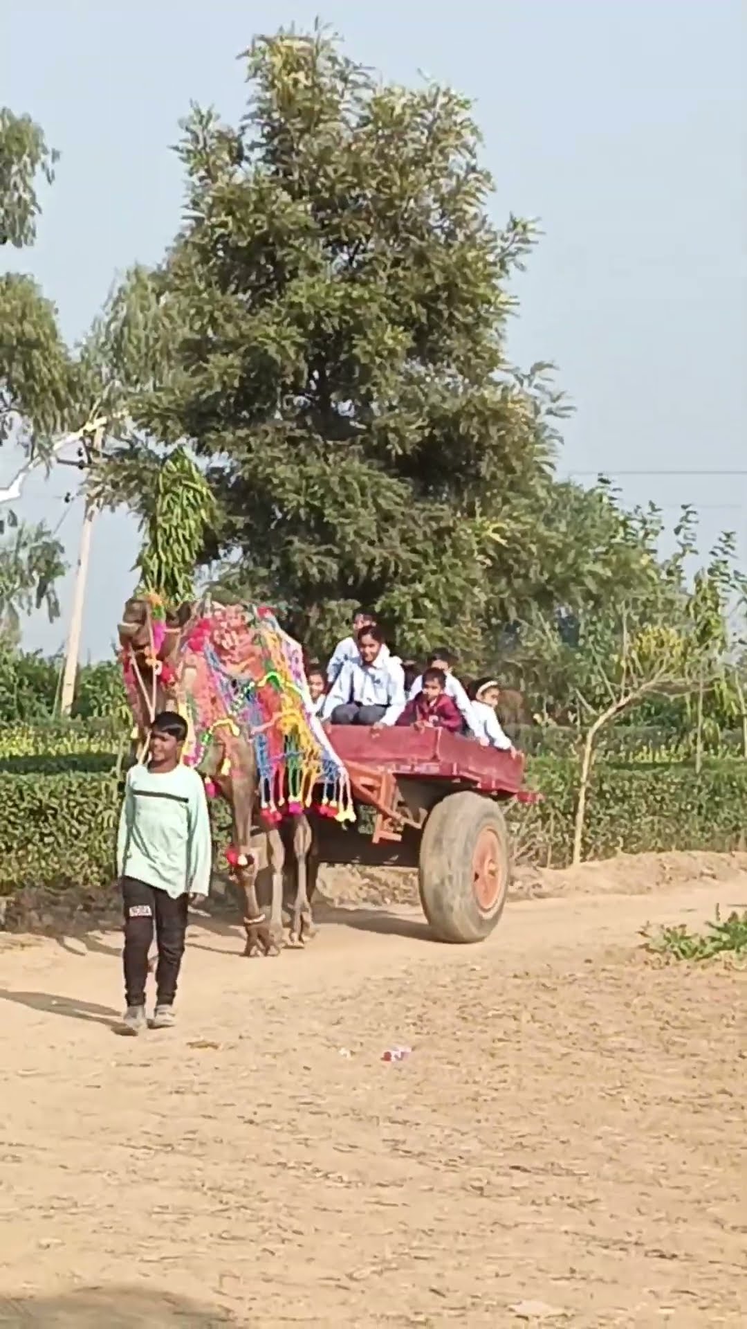 Best camel ride ever🤟🤟🤟🤟🤟 - YouTube