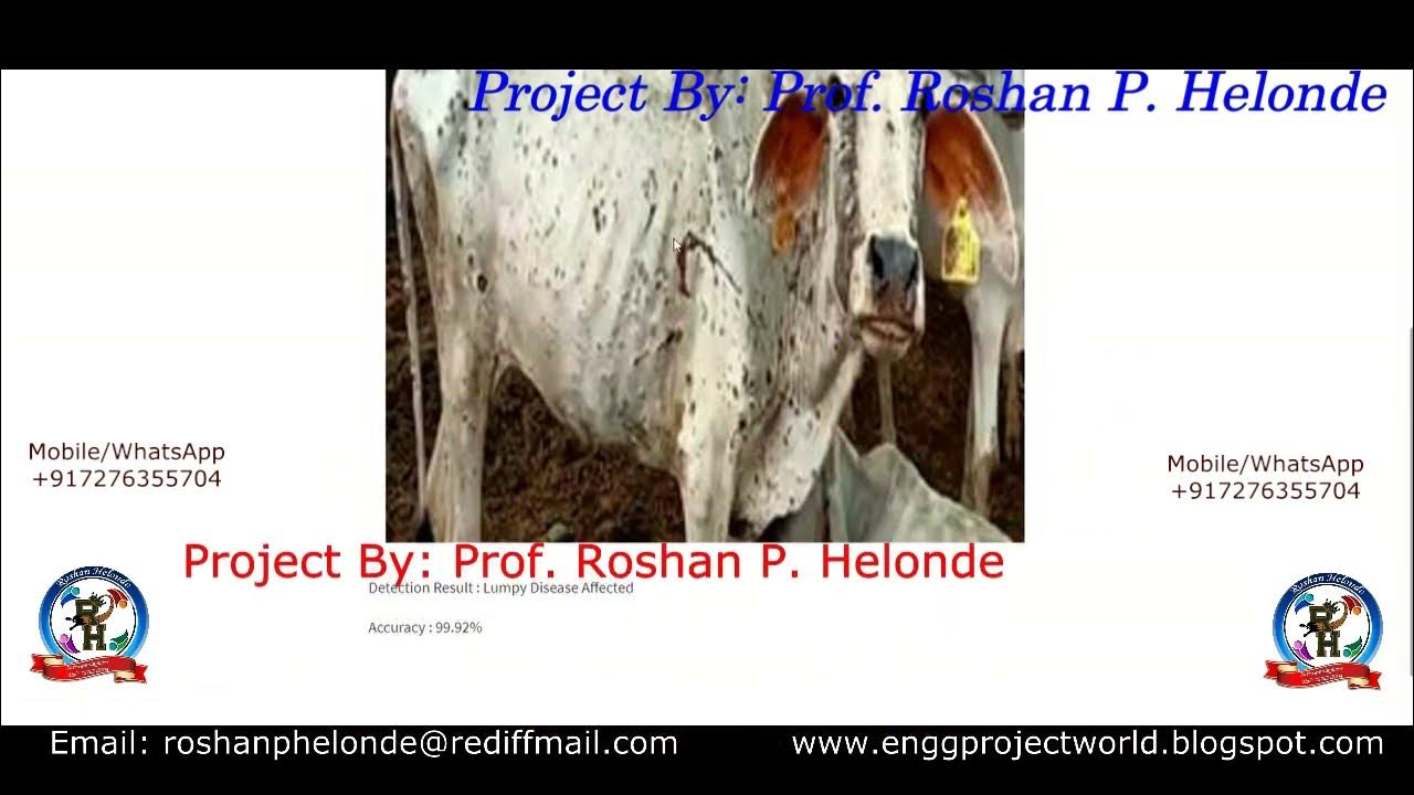 Lumpy Disease Detection Using CNN Convolutional Neural Network Python Project With Source Code ...